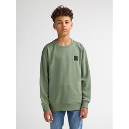 PETROL INDUSTRIES Rundhals-Sweatshirt Coyote in Gr&uuml;n | Gr.: 104
