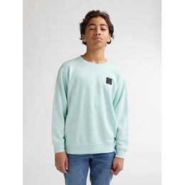 PETROL INDUSTRIES Rundhals-Sweatshirt Coyote in Gr&uuml;n | Gr.: 164