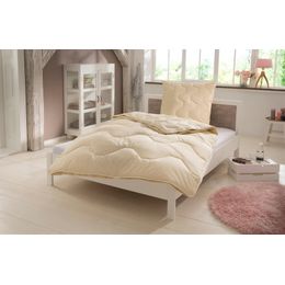 Naturfaserbettdecke OTTO HOME "Baumwolle 60 C, Bettdecke 135x200 cm, 155x220 cm, 200x200 cm", beige (natur), B:200cm L:200cm, Bezug: 100% Baumwolle. F&uuml;llung: 100% Baumwolle, Bettdecken, Bettdecken, Sommer, Winter, 4 Jahreszeiten, Decke, Made in Germany