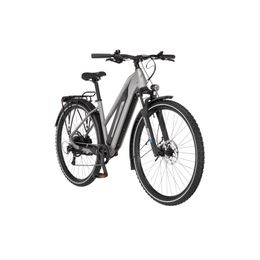 FISCHER BIKE E-Bike FISCHER FAHRRAD "TERRA 2.2 459" Gr. 45, grau, Elektrofahrr&auml;der, Damen, 45cm, 29 Zoll (73,66cm), Pedelec, Elektrofahrrad f&uuml;r Damen und Herren