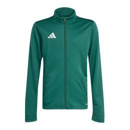 adidas Performance Athletic Zip-Up Hoodie 'ENT26' boy Green size 116