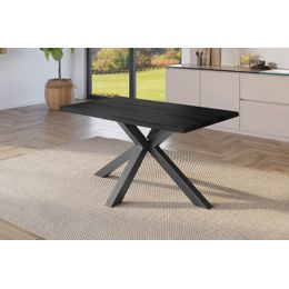Esstisch 120x80 cm Baumkante Holz Grau-Optik Spider-Gestell Metall schwarz JULIUS