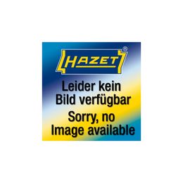 Hazet 2K-Weichschaum-Einlage 163-527L)