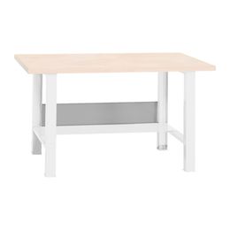 Kraftwerk R&uuml;ckwandblech f&uuml;r B2000 1742mm, 6.0 KG (138.000.174)