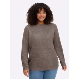 sheego Gro&szlig;e Gr&ouml;&szlig;en Stehkragenpullover mit Raglan-&Auml;rmeln, taupe, Gr&ouml;&szlig;e 52 - Damen