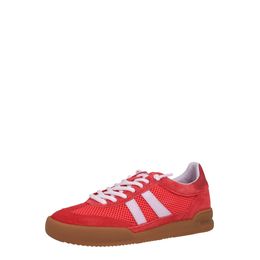 Steve Madden Sneaker 'Verdict' Damen Gr&ouml;&szlig;e 42 flieder / rot