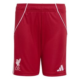 adidas Performance Sporthose 'FC Liverpool FC 25/26' Jungen Gr&ouml;&szlig;e 140 rot / wei&szlig;