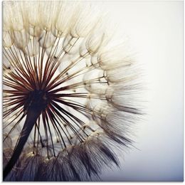 Glasbild Artland, B:40cm H:40cm, blau, K&uuml;che, Bilder, "Gro&szlig;e Pusteblume", in verschiedenen Gr&ouml;&szlig;en