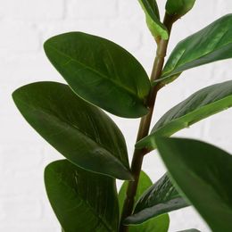 Boltze Topfpflanze Zamioculcas 76 cm skandinavische Deko Online Shop