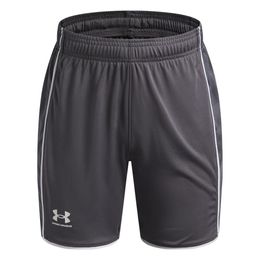 Under Armour Workout Pants male Grey size M