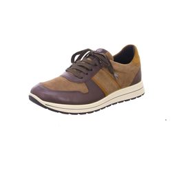 Ara Sneakers male Brown size 45