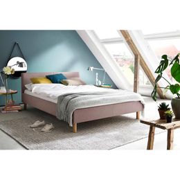 Meise M&ouml;bel meise.m&ouml;bel Polsterbett &raquo;Lena in verschiedenen Breiten und Farben erh&auml;ltlich&laquo; Breite 120cm & 140cm, mit Holzf&uuml;&szlig;en rosa Bezug Bett: Strukturstoff (100%