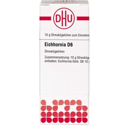 DHU-Arzneimittel Eichhornia D 6 Globuli 10 g