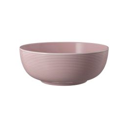 Seltmann Weiden Schale Foodbowl BEAT