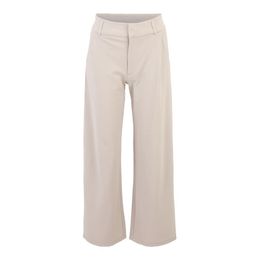 JDY Petite Pleat-Front Pants 'JDYGEGGO' female Grey size L