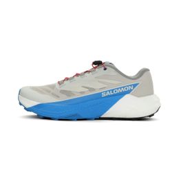 Salomon Pulsar Herren