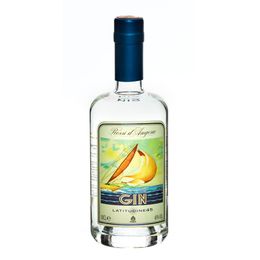 Rossi d&rsquo;Angera Gin Latitudine 45 (45 % Vol. 0,5 Liter)
