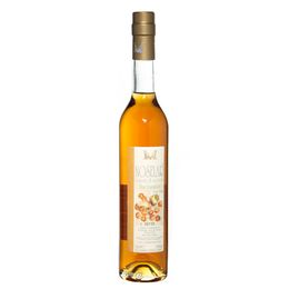 Villa Laviosa Noselar Haselnusslik&ouml;r (24 % Vol. 0,5 Liter)