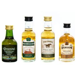 Irish Whiskey Collection Cooley & Kilbeggan (40 & 43 % Vol. 0,2 Liter)