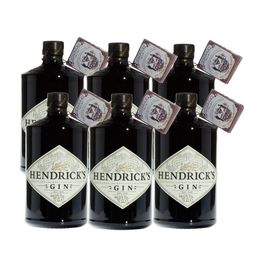 Hendrick&rsquo;s Gin Set Classic 6 x (44 % Vol. 4,2 Liter)