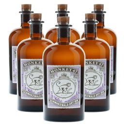 6 x Monkey 47 Schwarzwald Dry Gin (47 % vol. 3 Liter)