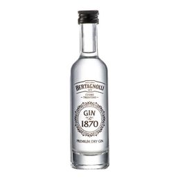 Bertagnolli Gin 1870 Premium Dry Gin (40 % vol 0,05 Liter)