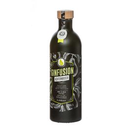 Ginfusion Achternbusch (42 % Vol. 0,7 Liter)