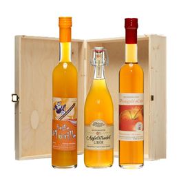 Fein-Brennerei Prinz Prinz Geschenk-Set &bdquo;Hei&szlig;e Wintertage&rdquo; (16 % Vol. 1,5 Liter)