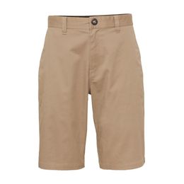 Volcom Chino Pants male Brown size 36