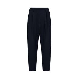 Antioch Pleat-Front Pants female Blue size 38