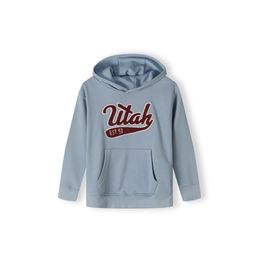 MINOTI Sweatshirt Jungen Gr&ouml;&szlig;e 140/146 opal / burgunder