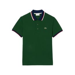 Lacoste Poloshirt Herren Gr&ouml;&szlig;e L navy / tanne / wei&szlig;