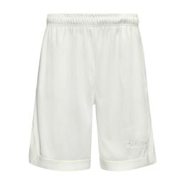 Dropsize Herren Shorts &raquo; Herren Logo Mesh Shorts&laquo; M, US-Gr&ouml;&szlig;en