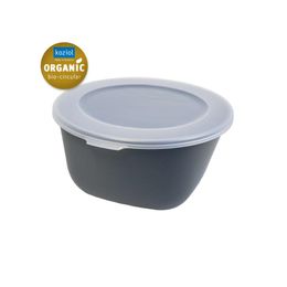 Koziol CONNECT BOX 2 - Box mit transparentem Deckel 2l in nature ash grey | Gr.: onesize