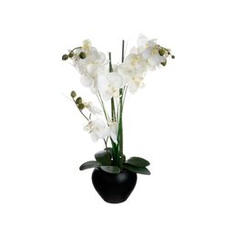 Atmosphera Cr&eacute;ateur d'int&eacute;rieur Kunstblume Orchidee in schwarz | Gr.: onesize