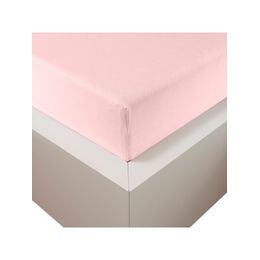 Traumschloss Premium Plus Edel-Jersey Spannbettlaken in puder (ros&eacute;) | Gr.: 140-160 x 200-220 cm