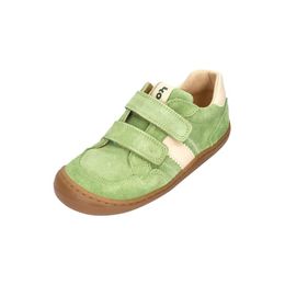 KOEL Sneaker Low BALI SUEDE 3.0 in braun | Gr.: 31