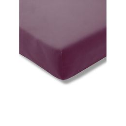 Estella Spannbetttuch Zwirn-Jersey Topper in aubergine | Gr.: 100 x 200