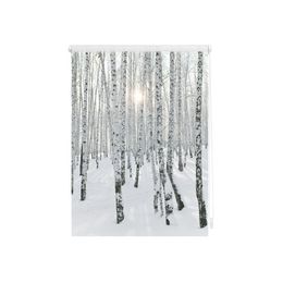 LICHTBLICK Seitenzugrollo in Wei&szlig; | Gr.: 120 x 150 cm