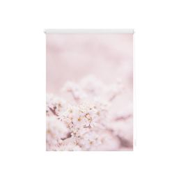 LICHTBLICK Seitenzugrollo in Rosa Wei&szlig; | Gr.: 120 x 150 cm