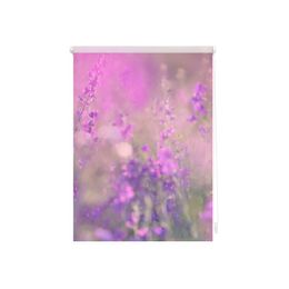 LICHTBLICK Seitenzugrollo in Fuchsia Violett | Gr.: 60 x 150 cm