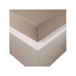 Traumschloss Premium Plus Edel-Jersey Spannbettlaken in cappuccino | Gr.: 180x200 cm - 200x220 cm