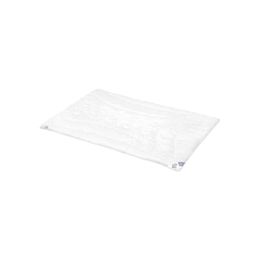 Schlafstil Ganzjahres-Kamelhaarbettdecke Medium "N500" in wei&szlig; | Gr.: 200 x 220 cm