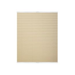 LICHTBLICK Plissee, Faltrollo in Creme | Gr.: 60 x 210 cm