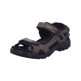 Ecco Outdoorsandalen Offroad in tarmac | Gr.: 47