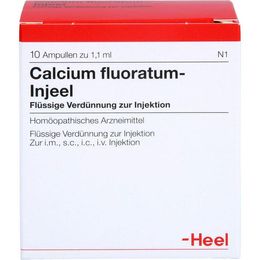 Heel Calcium Fluoratum Injeel Ampullen 10 St
