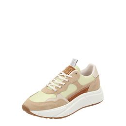 Steve Madden Sneakers 'Starlyn' female Beige size 38