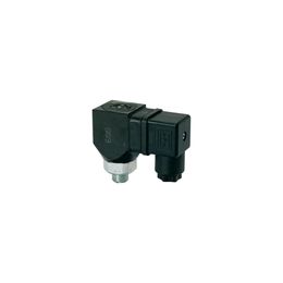 Riegler Druckschalter, Wechselkont. drehbar, Stahl ver., G 1/4, 0,3-2 bar (DS 6011)