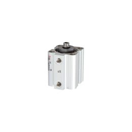 Riegler Kurzhubzylinder, doppeltwirk., Magnet, Kolben-&Atilde;&tilde; 25, Hub 5, G 1/8 (3.DM.25005)