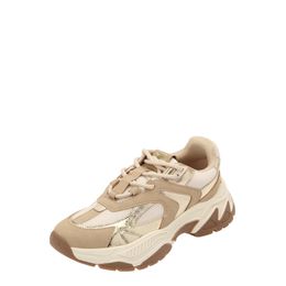 Steve Madden Sneaker 'Ample' Damen Gr&ouml;&szlig;e 38 camel / ecru / gold